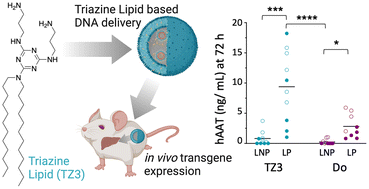 In vivo assessment of triazine lipid nanoparticles as transfection ...