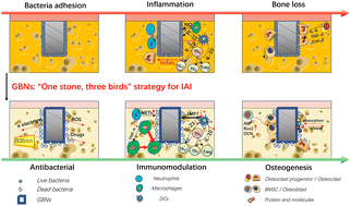 Graphene and its derivatives: “one stone, three birds” strategy for ...