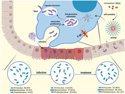 Nano-encapsulation of halofuginone hydrobromide enhances anticoccidial ...
