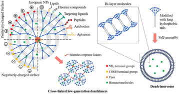 Functionalized PAMAM constructed nanosystems for biomacromolecule ...