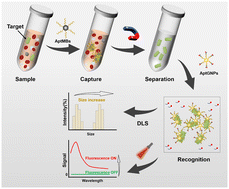 A simple and programmable dual-mode aptasensor for the ultrasensitive ...