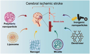 Harnessing nanobiotechnology for cerebral ischemic stroke management ...