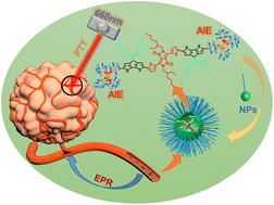 D–A–D organic small molecules with AIE effect for fluorescence imaging ...