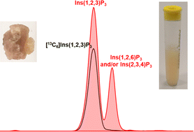 The phytase RipBL1 enables the assignment of a specific inositol ...