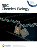 Inside front cover - RSC Chemical Biology (RSC Publishing)