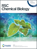 Front cover - RSC Chemical Biology (RSC Publishing)