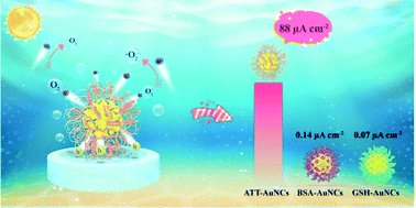6-Aza-2-thio-thymine–gold nanoclusters: an excellent candidate in the ...