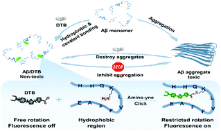Multifunctional fluorescent probe for effective visualization ...