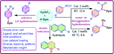 Simple silver(i)-salt catalyzed selective hydroboration of isocyanates ...