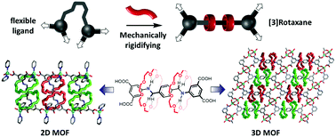 2D and 3D metal–organic frameworks constructed with a mechanically ...
