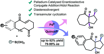 Enantioselective transannular reactions by palladium-catalysed ...