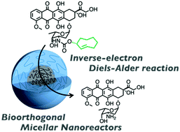 Bioorthogonal micellar nanoreactors for prodrug cancer therapy using an ...
