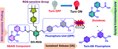 Stimuli-responsive prodrug of non-steroidal anti-inflammatory drug ...