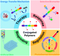 Conjugated polymers for biomedical applications - Chemical ...