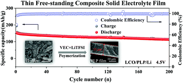 A thin free-standing composite solid electrolyte film for solid-state ...