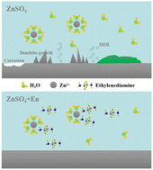 Subtly manipulating Zn2+-coordinated configurations with a complexing ...