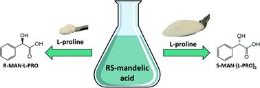 l-Proline, a resolution agent able to target both enantiomers of ...