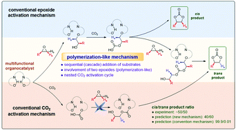 Polymerization-like mechanism for fixation of CO2 with epoxides by ...