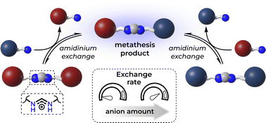Anion-assisted amidinium exchange and metathesis - Chemical ...