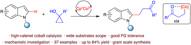 Cp*CoIII-catalyzed C2-alkylation of indole derivatives with substituted ...
