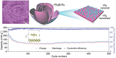 Rational engineering of VS4 nanorod array on rose-shaped VS2 nanosheets ...