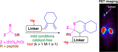 Hetero-Diels–Alder click reaction of dithioesters for a catalyst-free ...