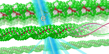 Triple helix and rod structures of the antiseptic drug bibrocathol ...