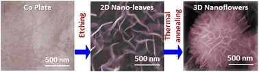 Direct growth of three-dimensional nanoflower-like structures from flat ...
