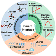Stimuli-responsive polymers for interface engineering toward enhanced ...