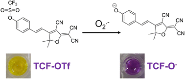 TCF-based fluorescent probe for monitoring superoxide anion produced in ...