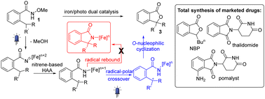 Iron/photoredox dual catalysis for acyl nitrene-based C–O bond ...