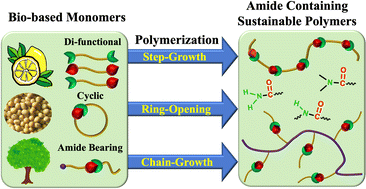 Bio-based monomers for amide-containing sustainable polymers - Chemical ...