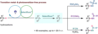 Selectfluor®-enabled photochemical selective C(sp3)–H(sulfonyl ...
