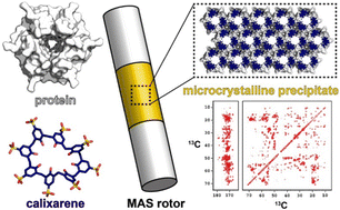 Solid-state NMR – a complementary technique for protein framework ...