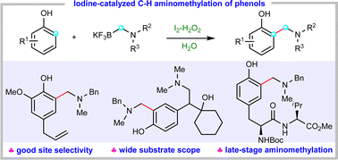 Aqueous C–H aminomethylation of phenols by iodine catalysis - Chemical ...