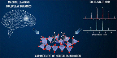Spatial arrangement of dynamic surface species from solid-state NMR and ...