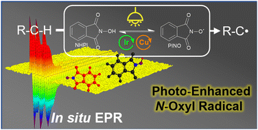 Time-resolved EPR revealed C(sp3)–H activation through a photo-enhanced ...