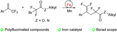 Iron-catalysed reductive coupling for the synthesis of polyfluorinated ...
