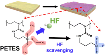 A fabrication of stable lithium metal anodes using HF scavenging films ...