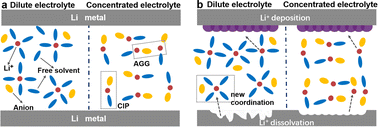 Unveiling the dynamic Li+–solvent interaction evolution in lithium ...