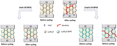 A PEG-borate ester solid-state polymer electrolyte to fabricate a ...