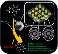 Hydroxyl radical-dominated selective oxidation of ethylbenzene over a ...