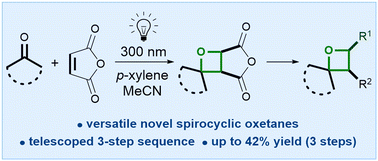 Synthesis of functionalized spirocyclic oxetanes through Paternò–Büchi ...