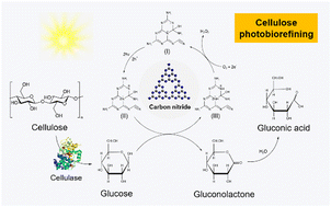 One-pot sequential cascade reaction for selective gluconic acid ...