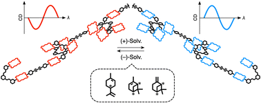 Supramolecular chiral sensing by supramolecular helical polymers - Chemical Communications (RSC ...