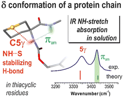 Non-covalent interactions reveal the protein chain δ conformation in a ...
