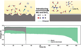 Regulating solvation and interface chemistry enables advanced aluminum ...