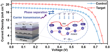 Tuning the phase separation of PEDOT:PSS affords efficient lead-free ...