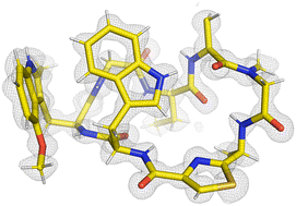 Crystal structure of natural product argyrin-D determined by 3D ...