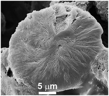 Spontaneous formation of hierarchical structures in some polylactide ...